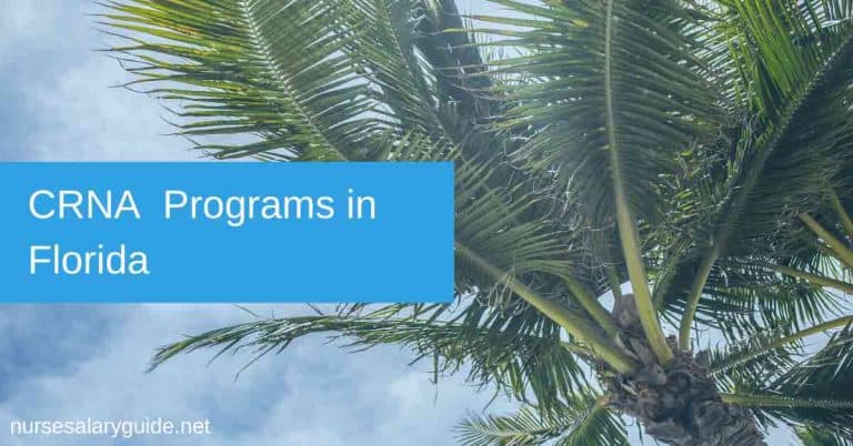 Nursing Salaries, Career Guides, Education-Nurse Salary Guide