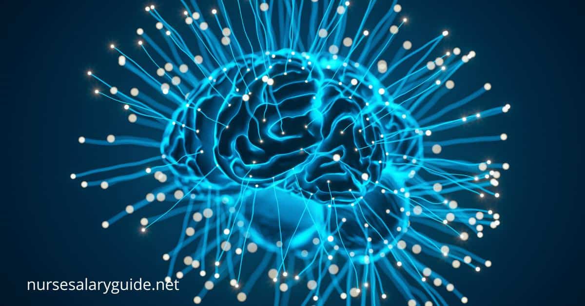 A Nurse's Guide to Understanding Different Types of Brain Injuries ...